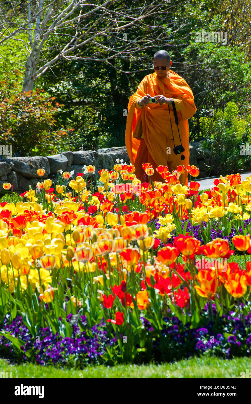 Buddhist monk photographing flowers Stock Photo - Alamy