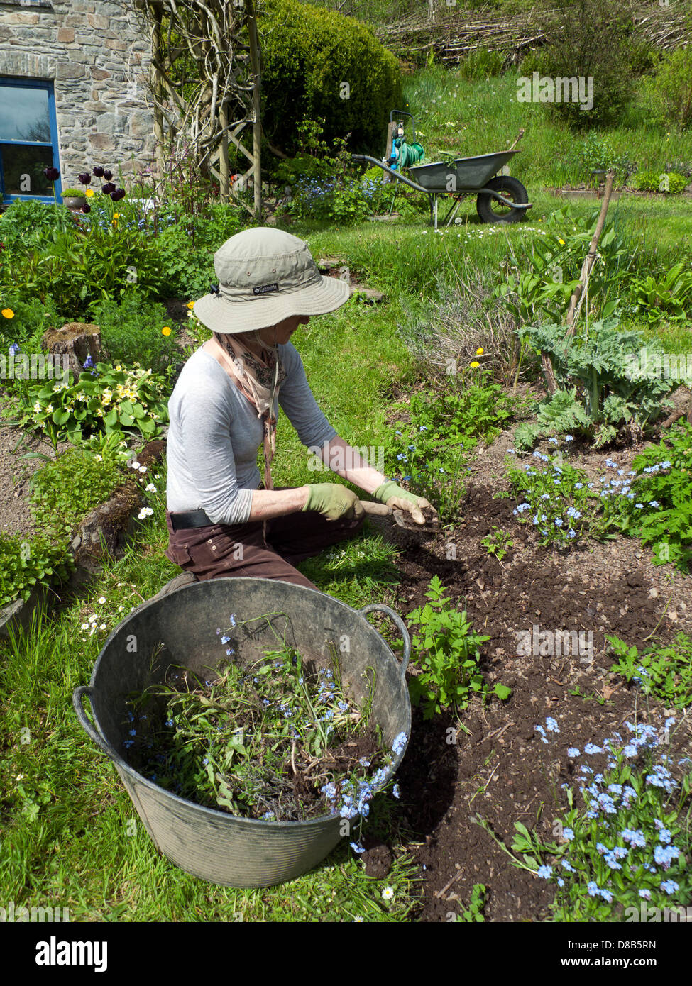 Mature woman weeding garden hi-res stock photography and images - Alamy