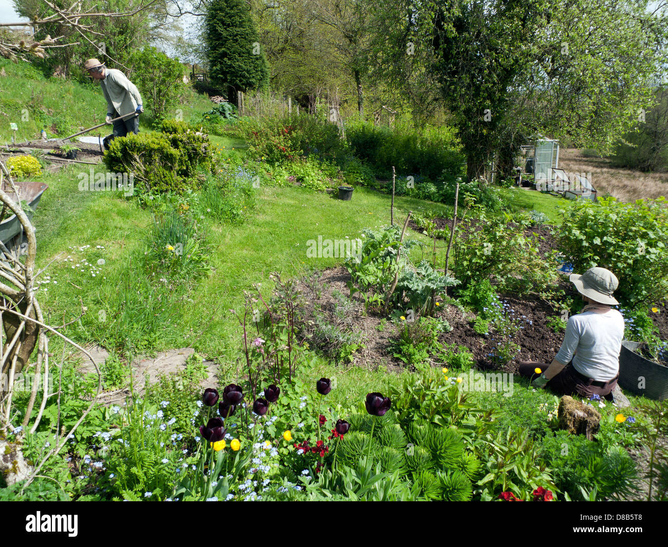 People working in the vegetable garden in May in spring sunshine in ...