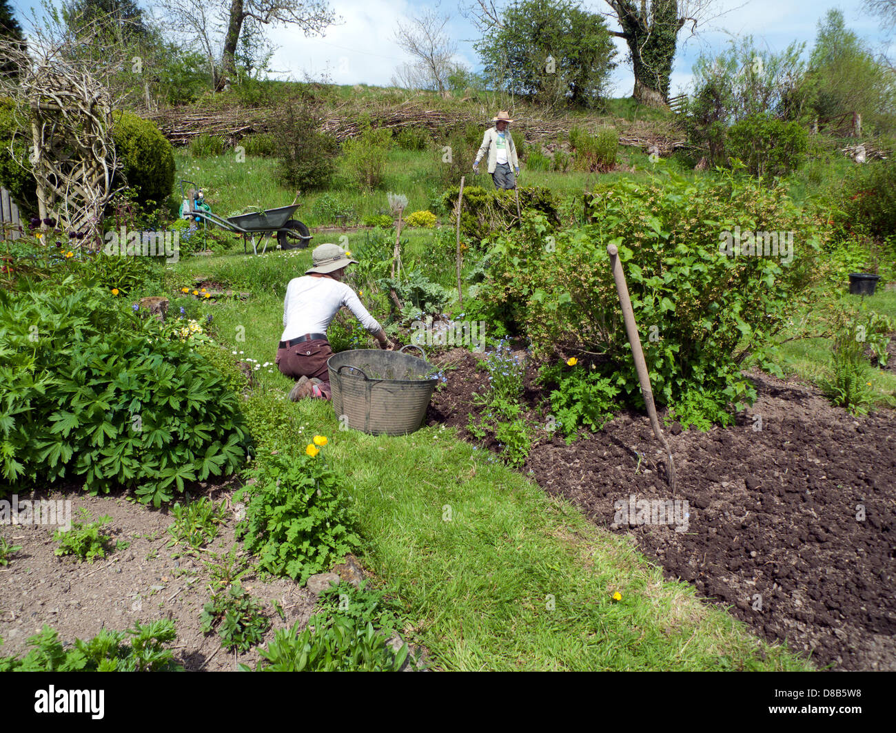 People working in the vegetable garden in May in spring sunshine in ...