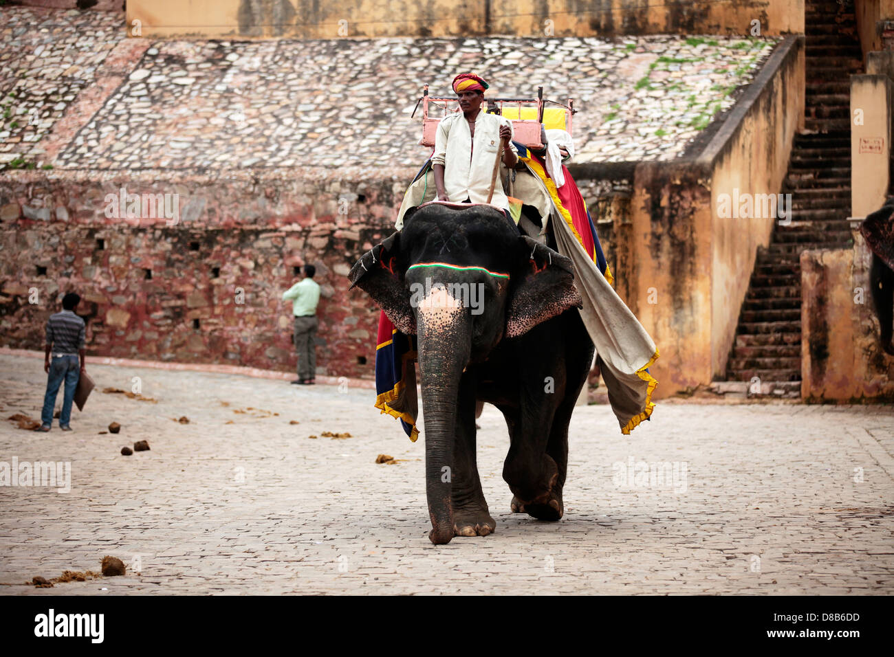 India elephant culture hi-res stock photography and images - Alamy