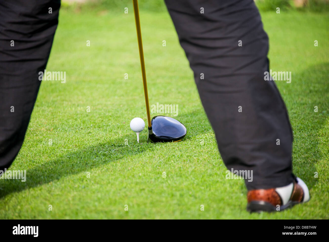 a golfer addresses the golf ball with a driver in the tee box Stock ...