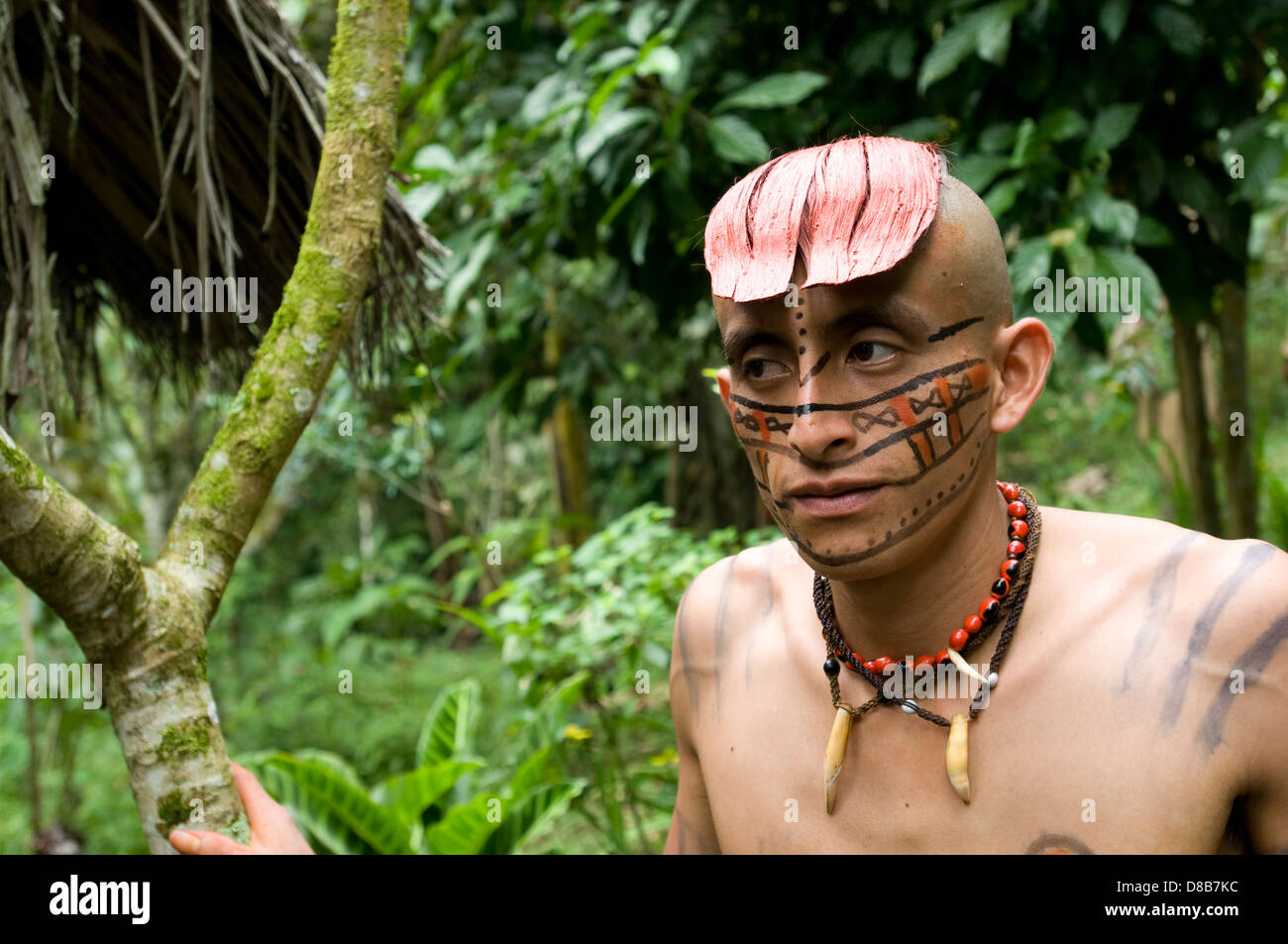 Young tsachila strolling through the forest Stock Photo - Alamy