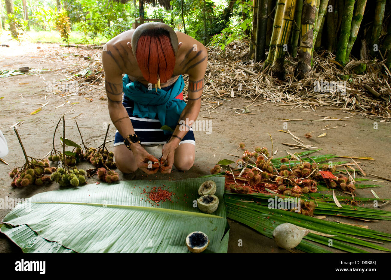 Young native of the ethnic group Tsachila mixes natural ingredients to ...