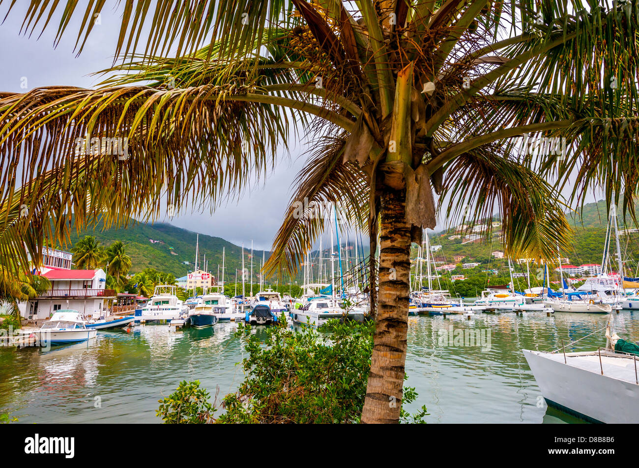 Tortola; Road Town; British Virgin Islands; Caribbean Stock Photo - Alamy