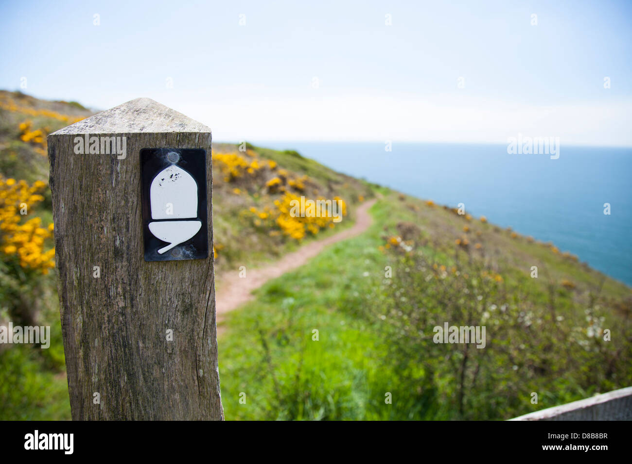 Acorn Coastal path sign, Pembrokeshire, UK Stock Photo - Alamy