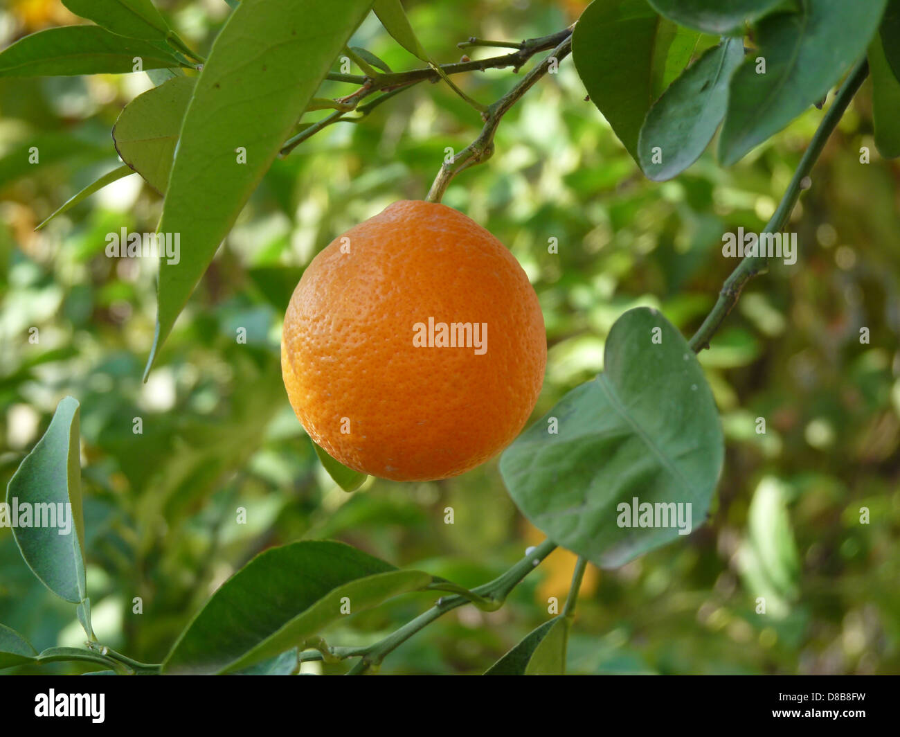 Orange and white mast hi-res stock photography and images - Alamy