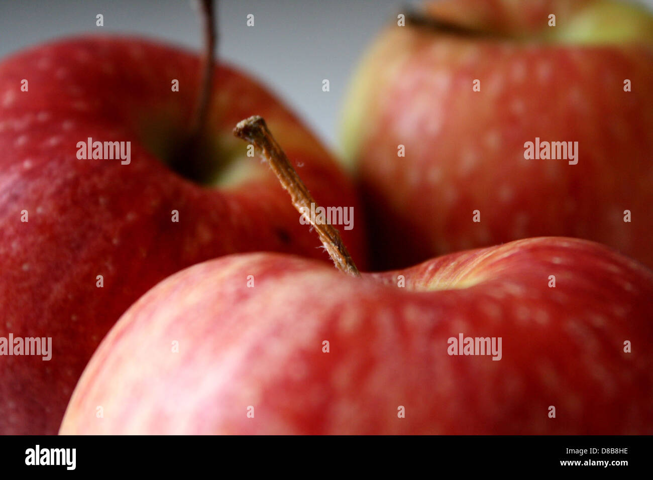 Shiny skins hi-res stock photography and images - Alamy