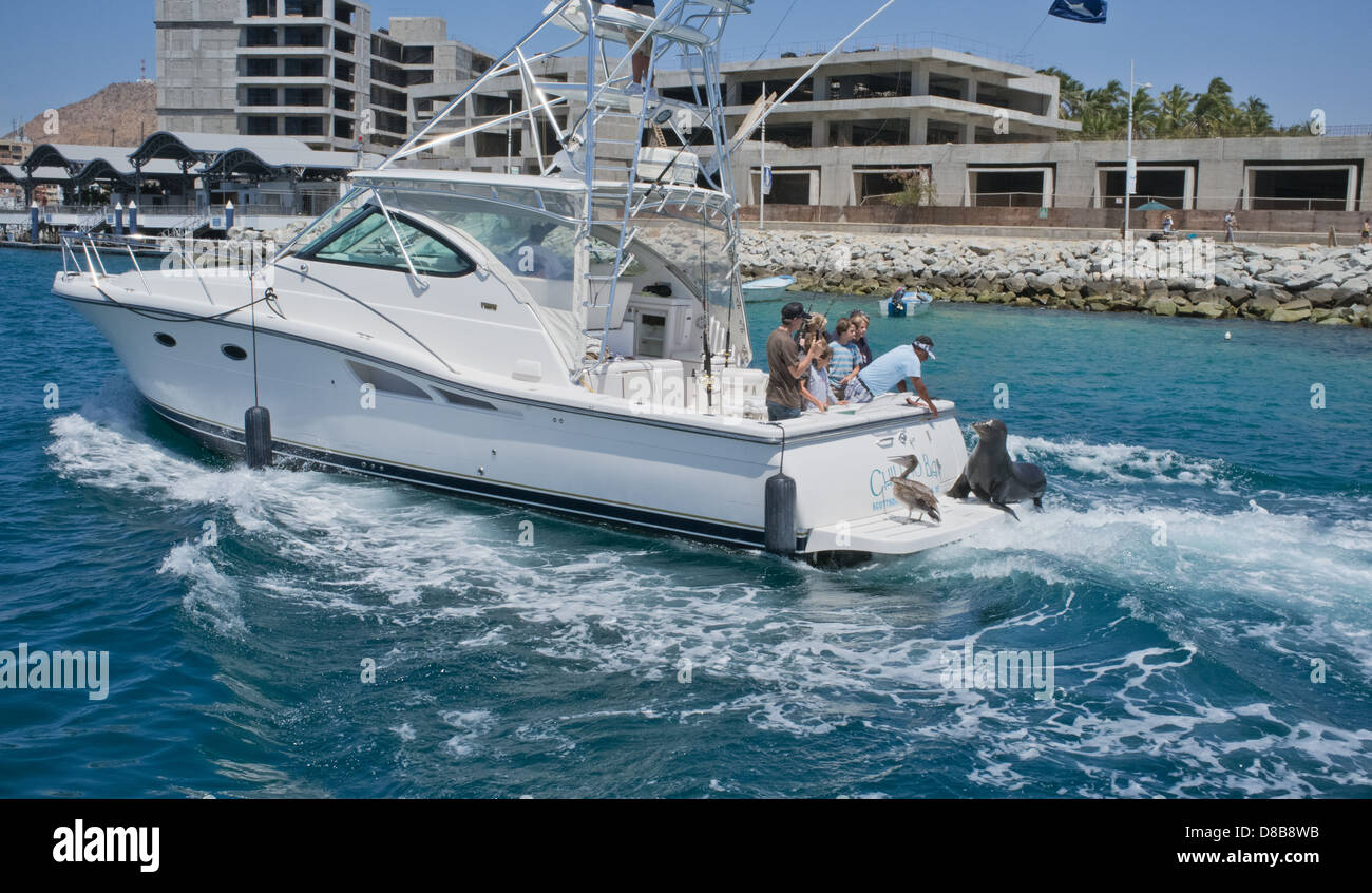 Cabo San Lucas Harbor, Los Cabos,Baja California,Mexico Stock Photo - Alamy