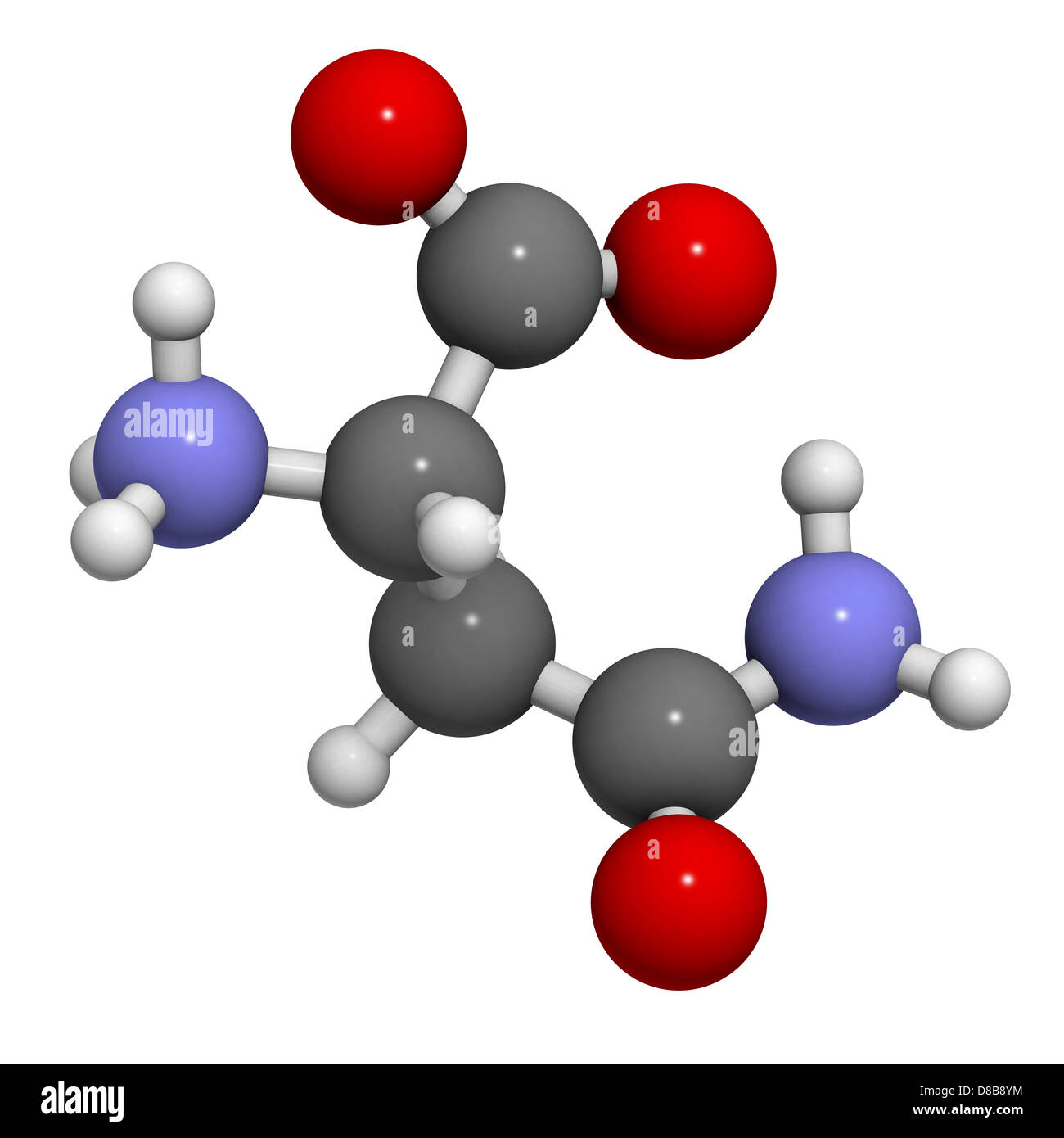 Asparagine (Asn, N) amino acid, molecular model. Amino acids are the ...
