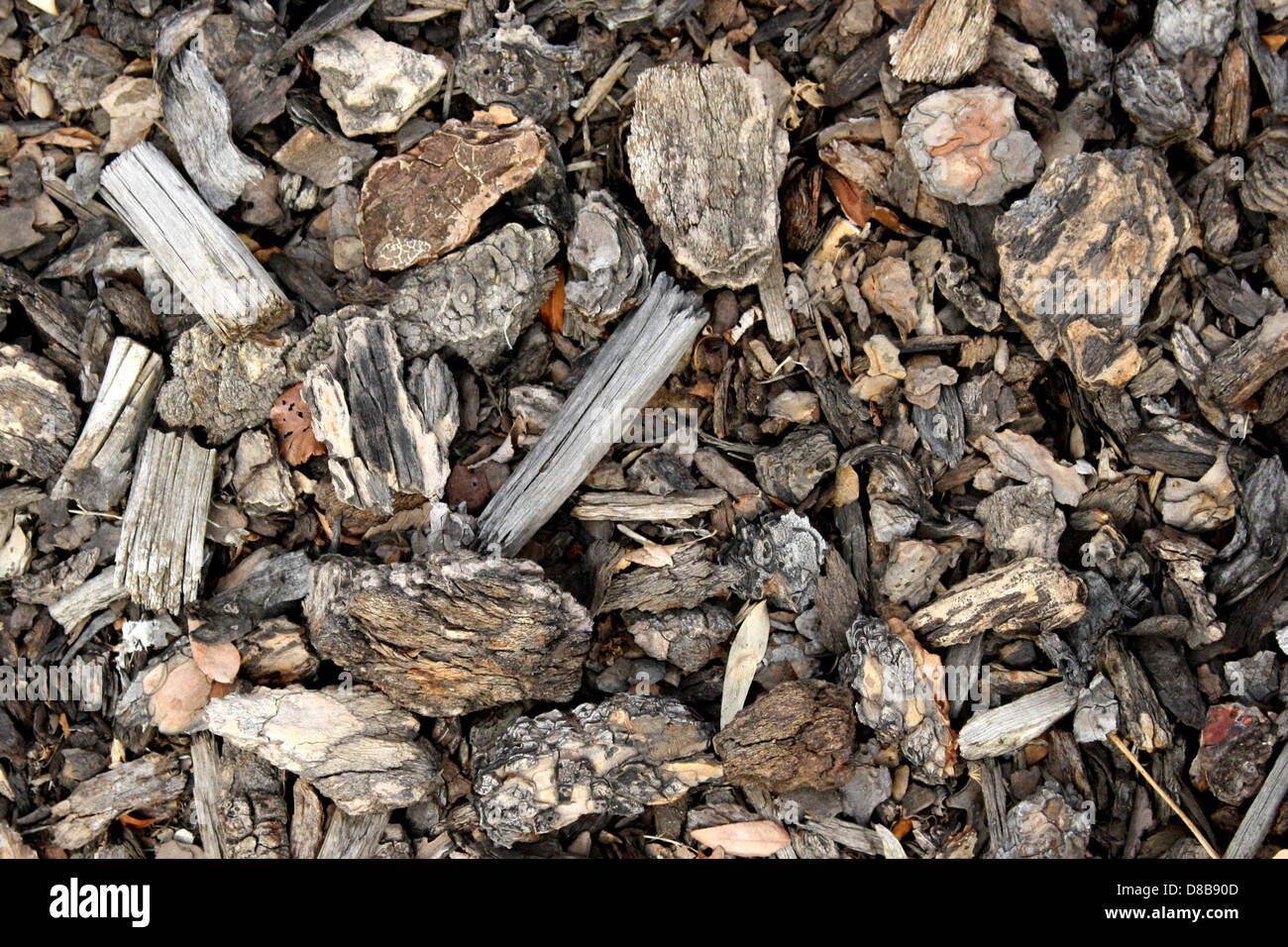 A close-up of bark mulch, showing its rich, earthy texture. The natural ...