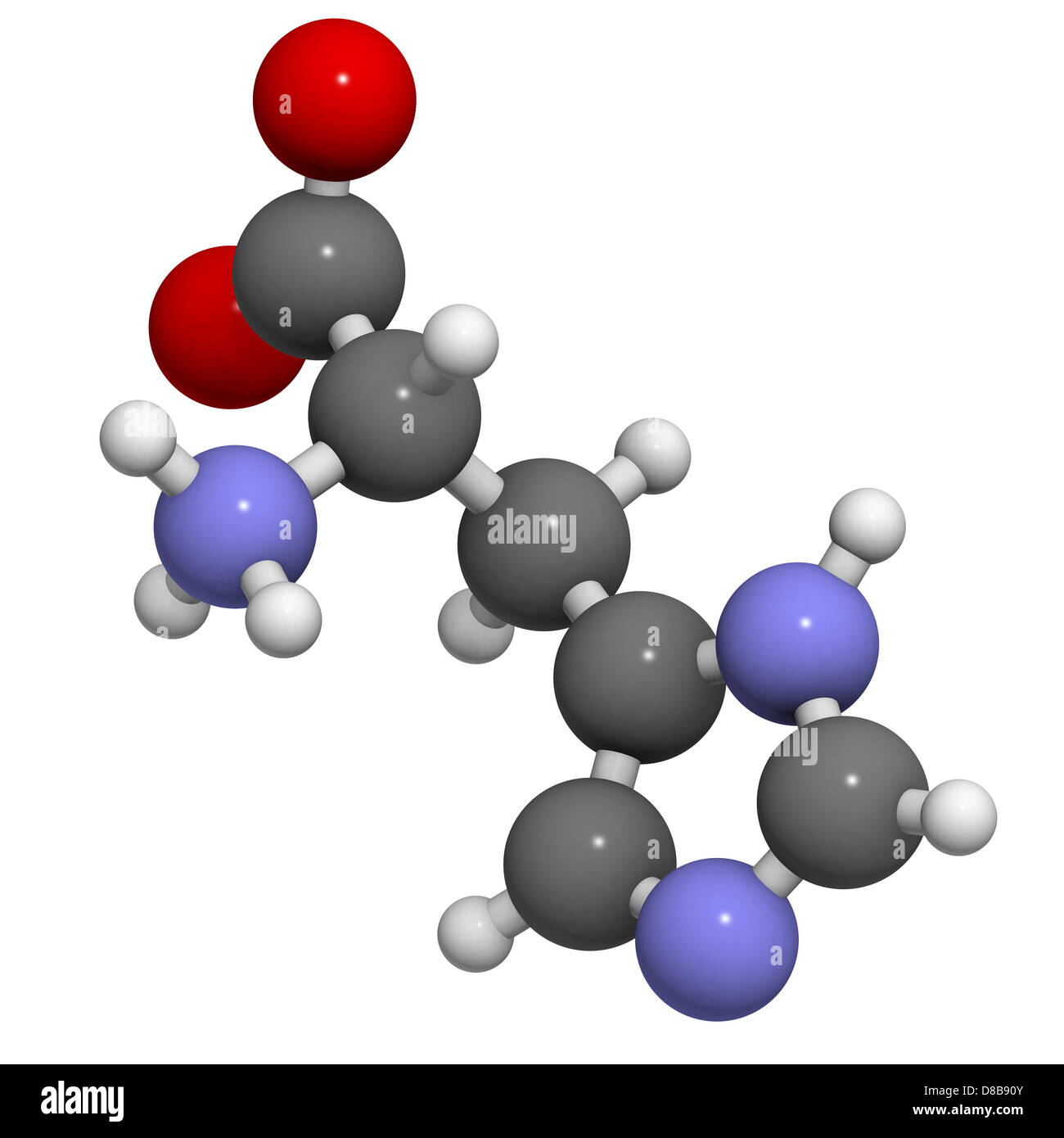 Histidine (His, H) amino acid, molecular model. Amino acids are the ...