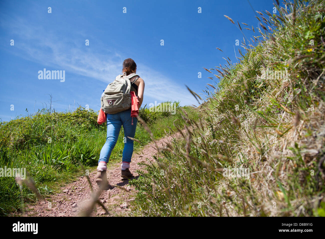 Young female walker on the Pembrokeshire coastal path Stock Photo - Alamy