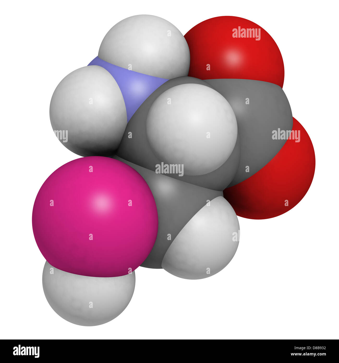 Selenocysteine (Sec, U) amino acid, molecular model. Amino acids are ...