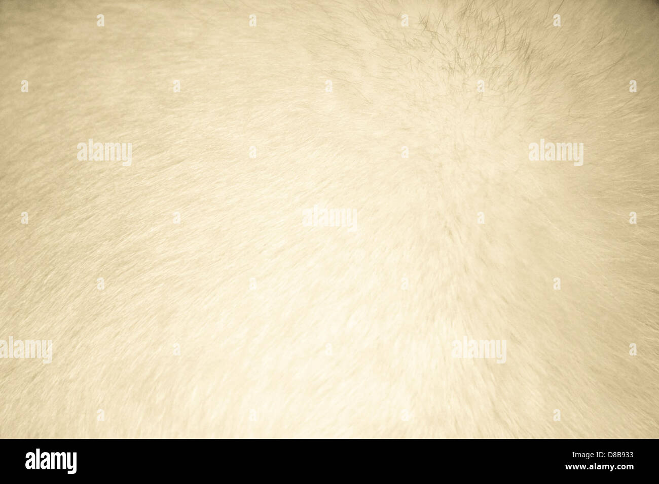 beige fur texture Stock Photo - Alamy