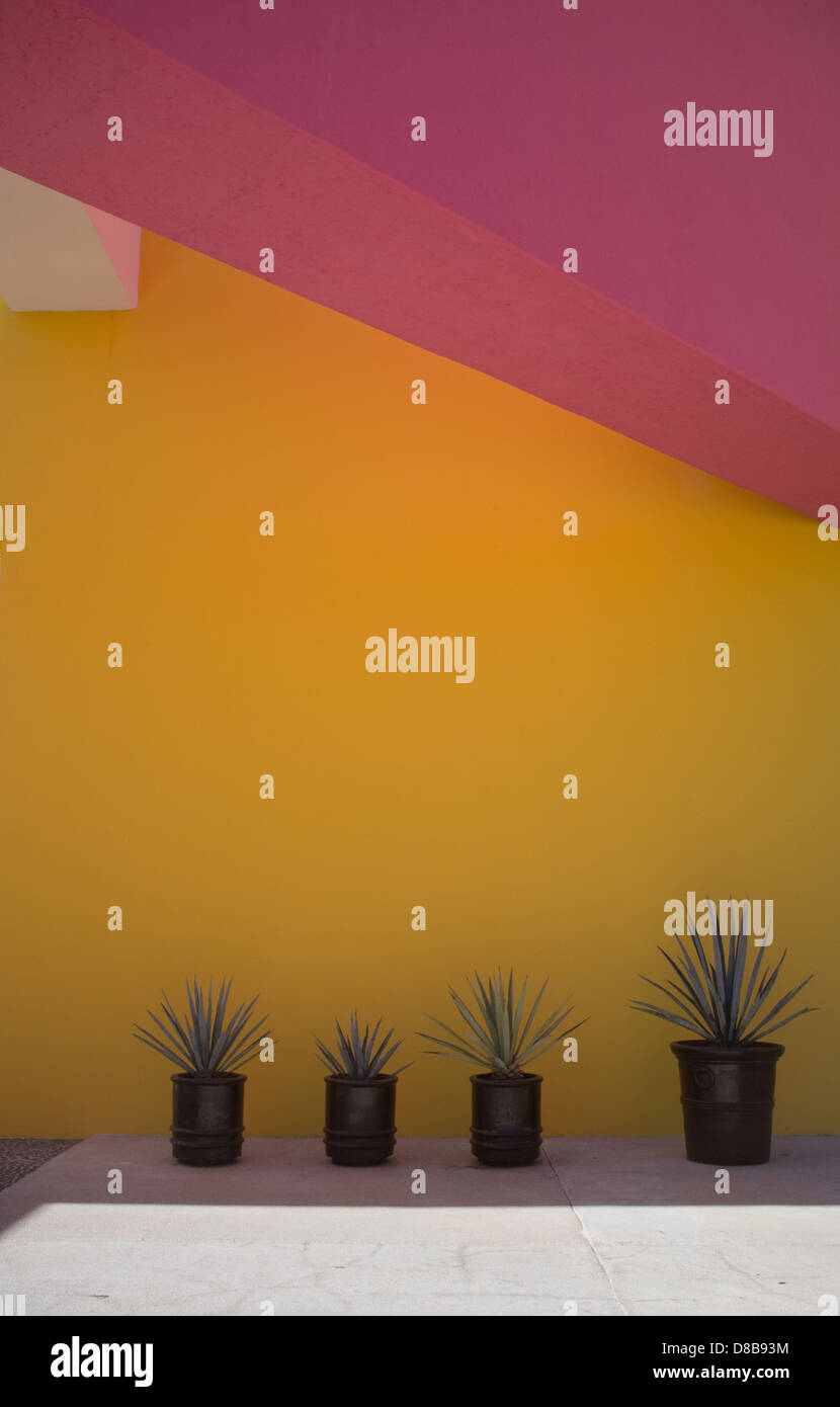 Color photograph of the Westin Resort and Spa, Los Cabos Stock Photo ...