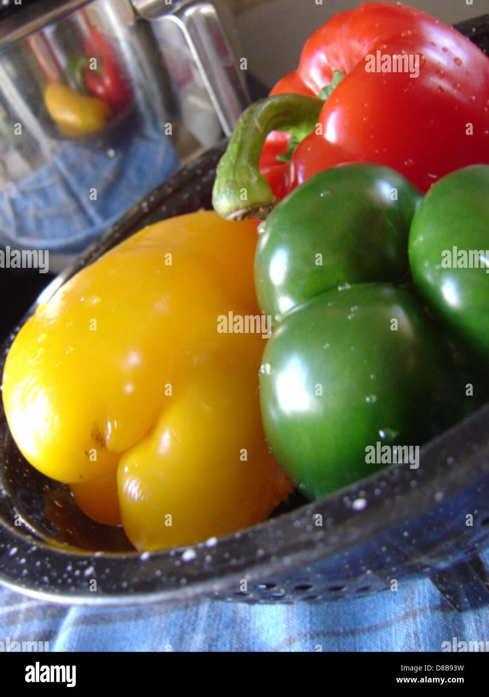 A group of colorful bell peppers in various stages of ripeness ...