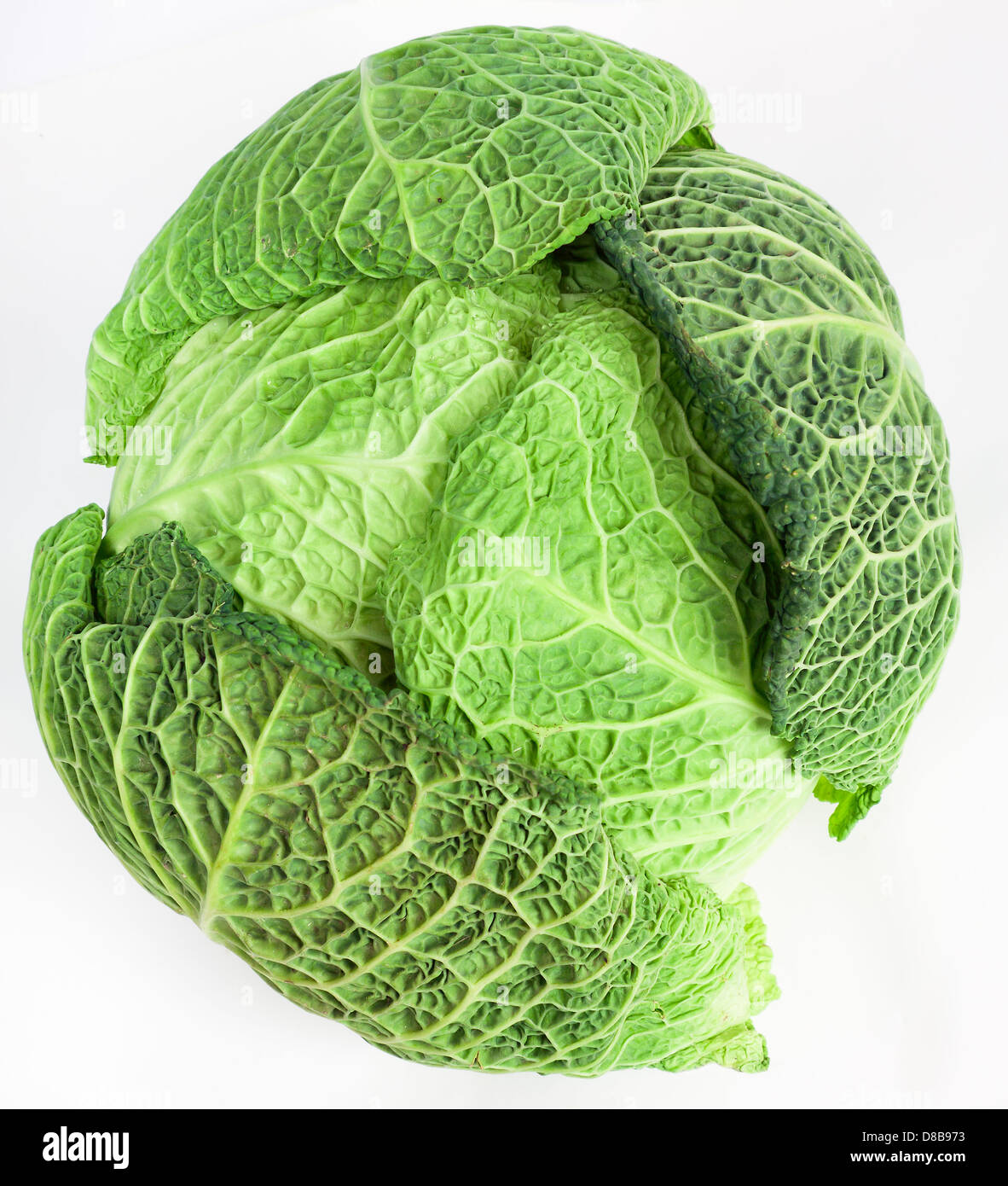 green savoy on white background Stock Photo - Alamy
