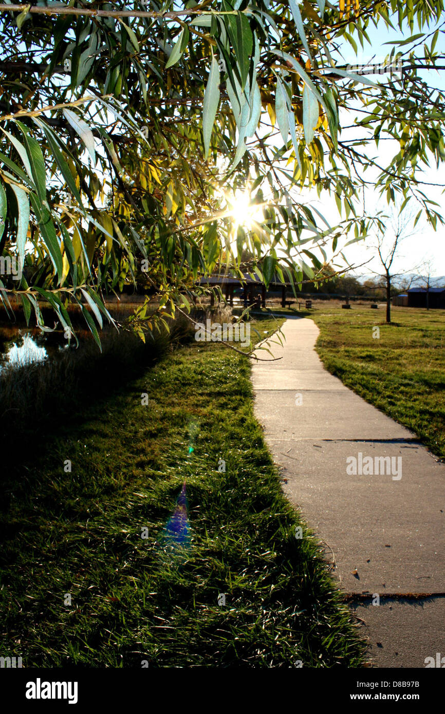A bike path winds through a park, providing a designated area for ...