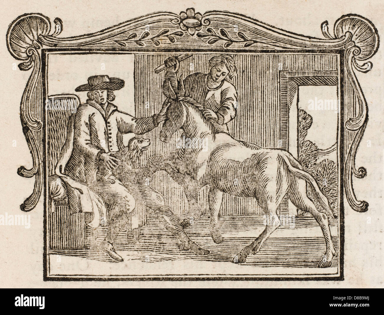 THE ASS AND THE LAP-DOG Stock Photo - Alamy