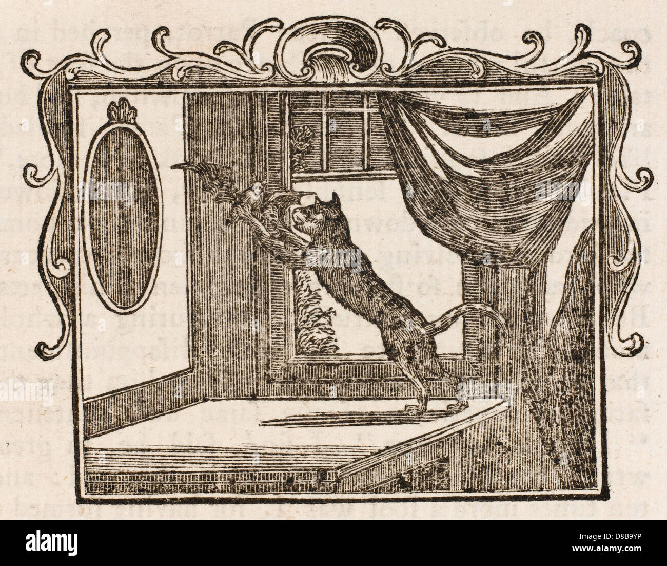 Fable - Cat and Bat Stock Photo - Alamy