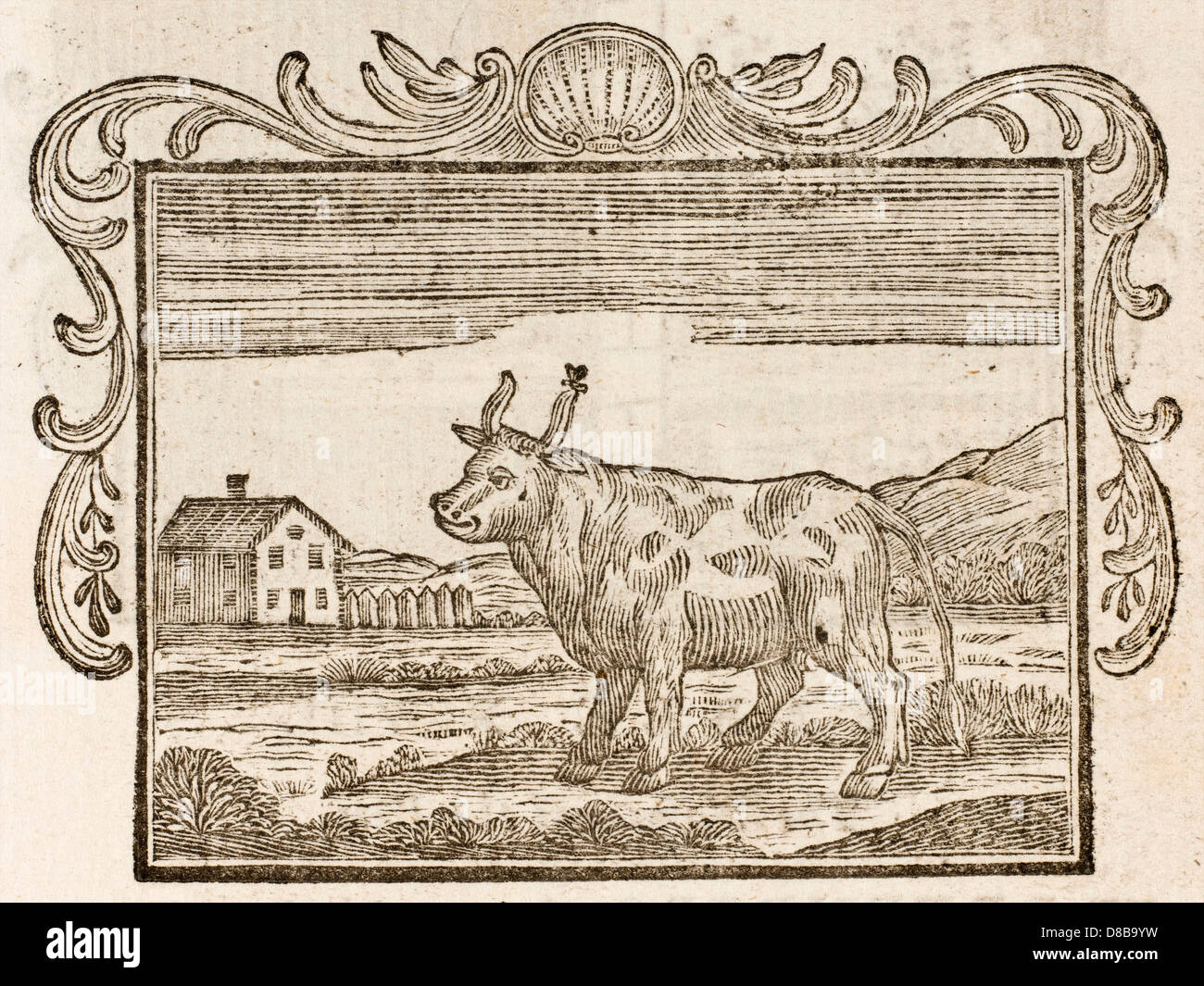 Fable - Bull and Gnat Stock Photo - Alamy