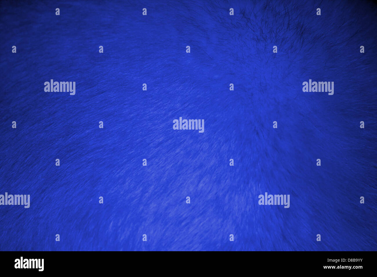 A close-up view of blue fur with a soft, plush texture. The fine fibers ...