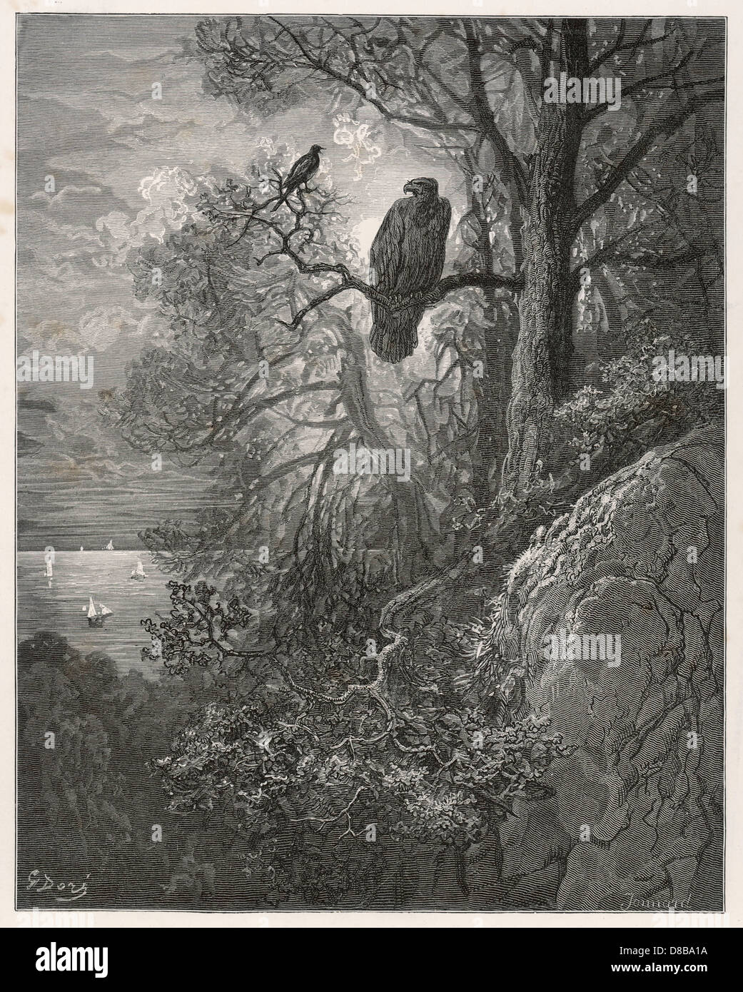 Fable - Eagle - Magpie Stock Photo - Alamy
