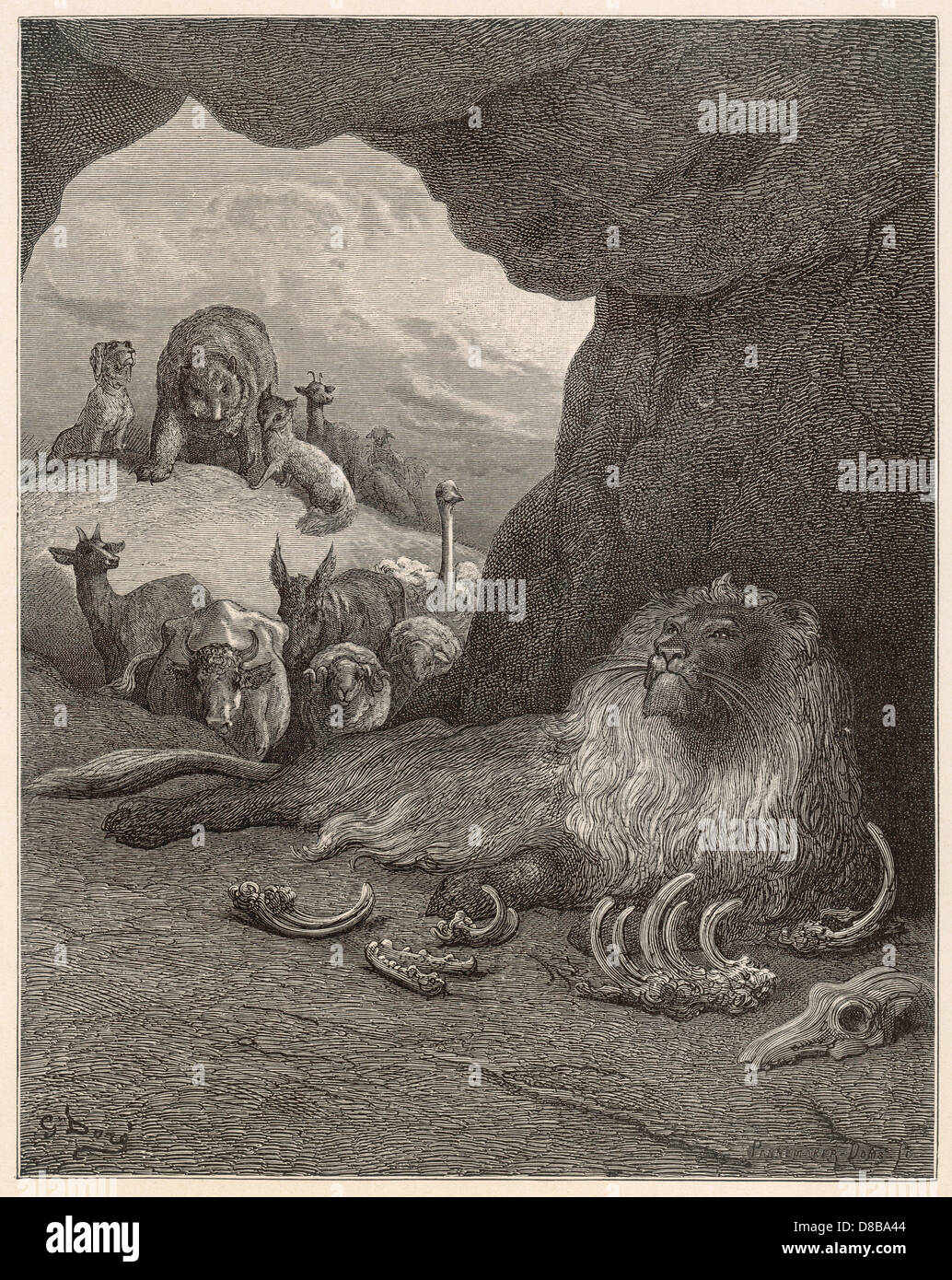 Fox and lion hi-res stock photography and images - Alamy