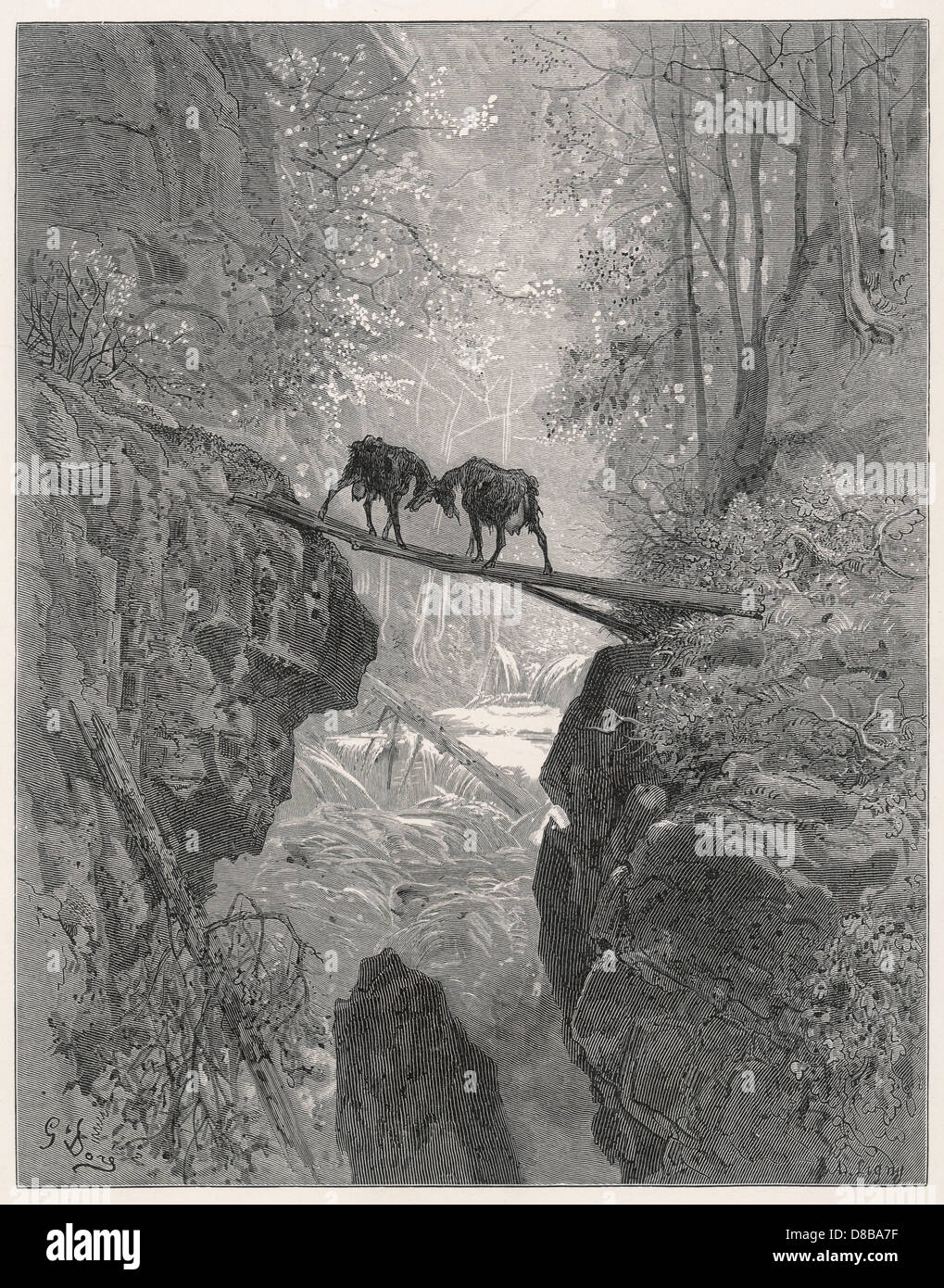 A goat two goats hi-res stock photography and images - Alamy