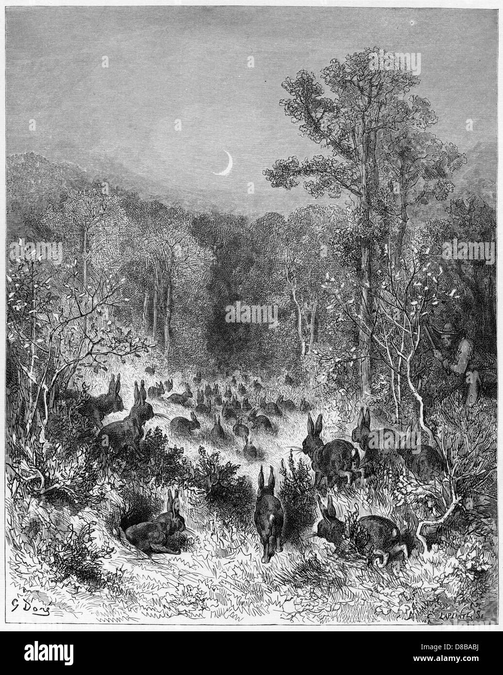 Fable - the Rabbits Stock Photo - Alamy