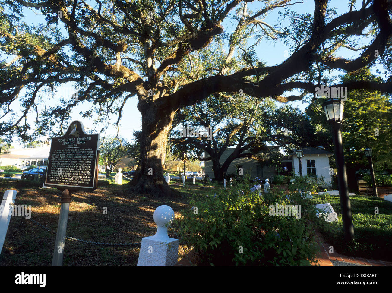 Elk283-4106 Louisiana, Cajun Country, St Martinville, Evangeline Oak ...