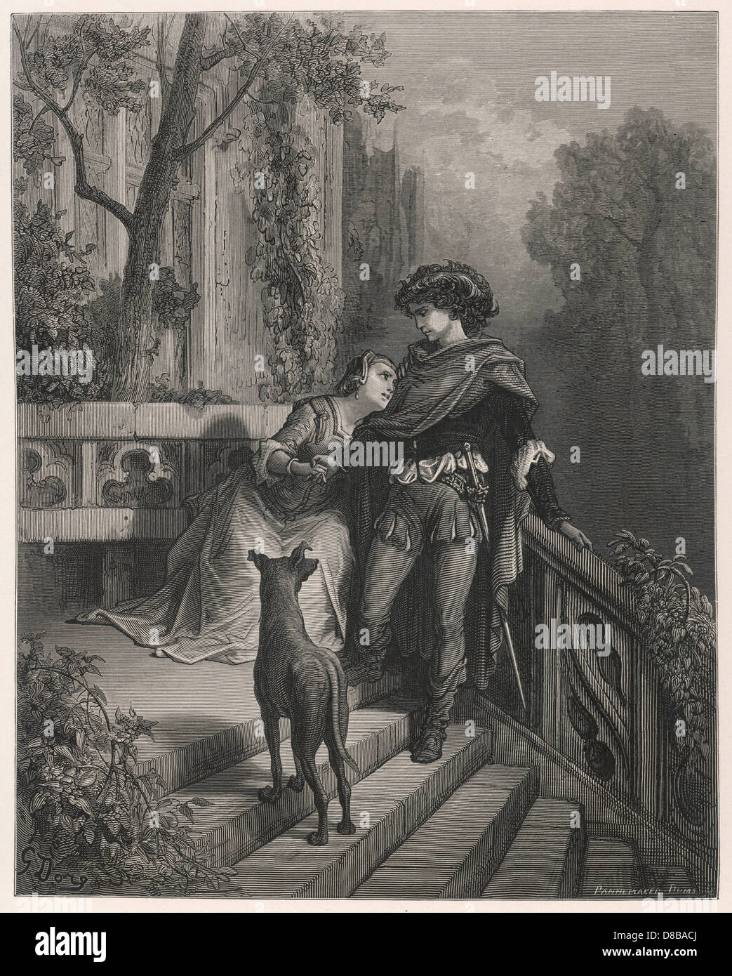 Two doves hi-res stock photography and images - Alamy