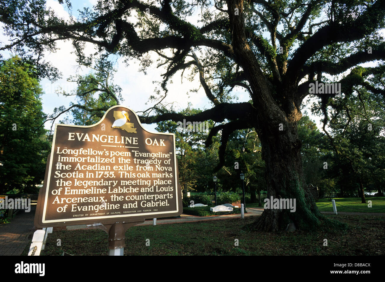 Elk283-4114 Louisiana, Cajun Country, St Martinville, Evangeline Oak ...