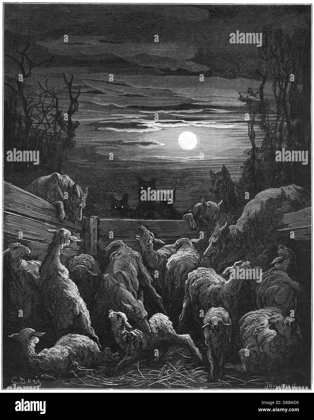 The Wolves and the Sheep Stock Photo - Alamy