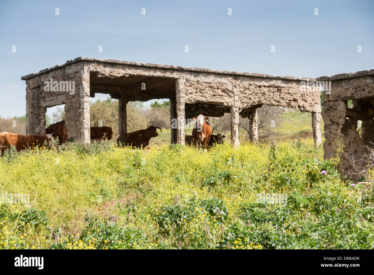 Bullet riddled building hi-res stock photography and images - Alamy
