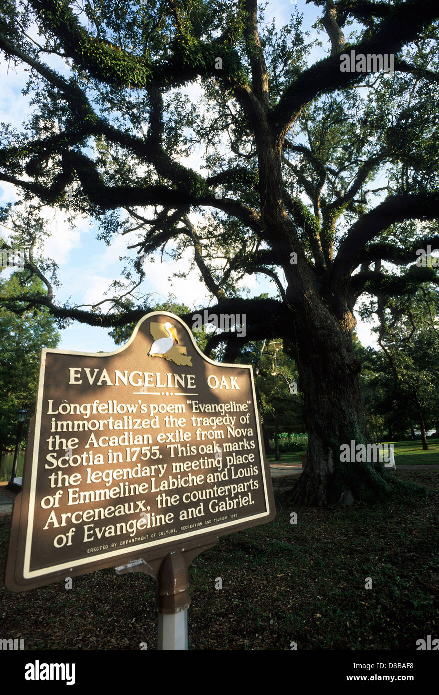 Elk283-4120v Louisiana, Cajun Country, St Martinville, Evangeline Oak ...