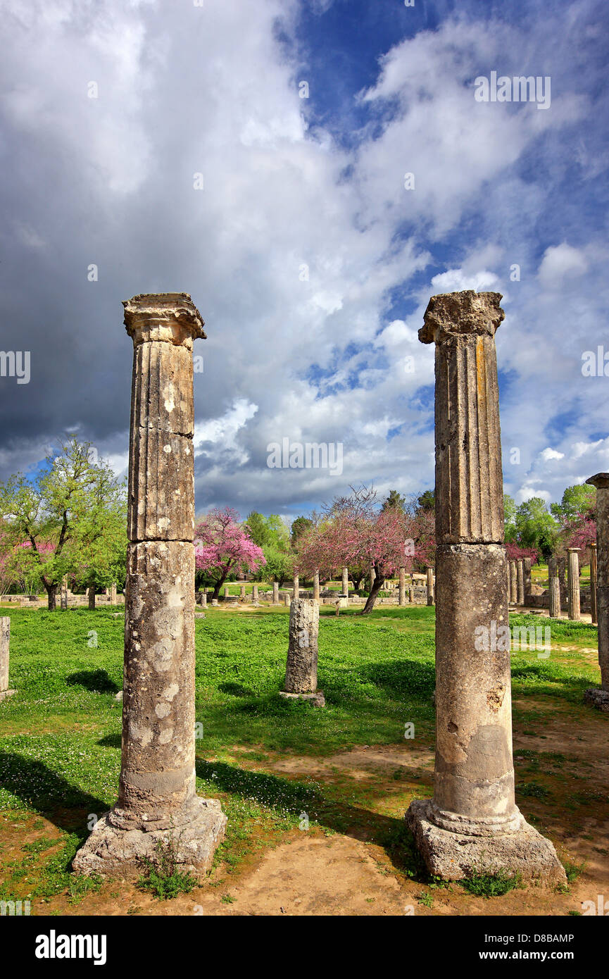 The Palaestra at Ancient Olympia, the birthplace of the Olympic Games ...
