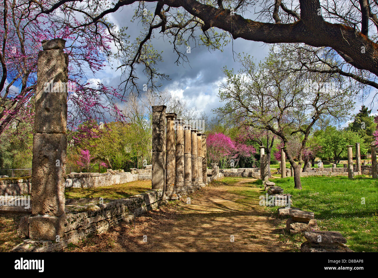 The Palaestra at Ancient Olympia, the birthplace of the Olympic Games ...