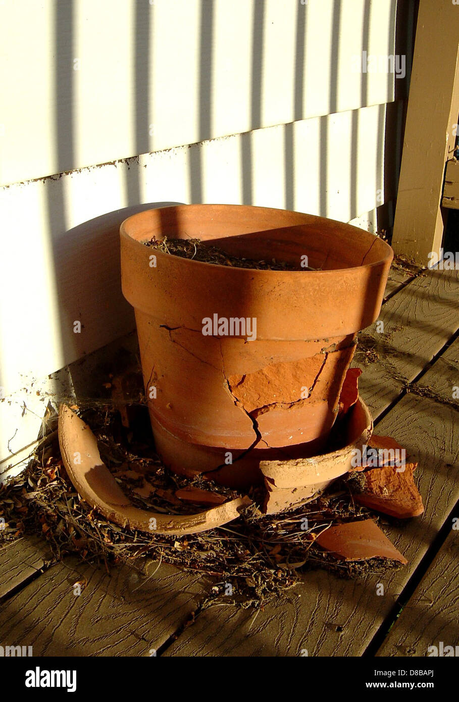 A broken terra cotta flower pot is typically a result of wear and tear ...
