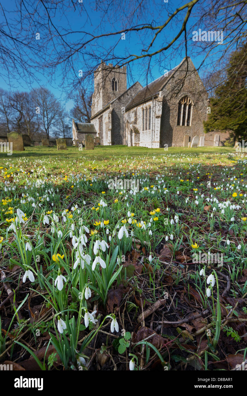 Snowdrops graveyard hi-res stock photography and images - Alamy