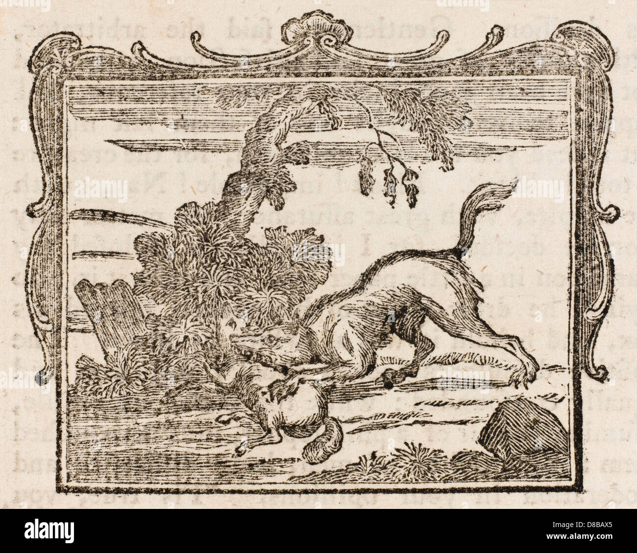 The wolf and the lamb hi-res stock photography and images - Alamy