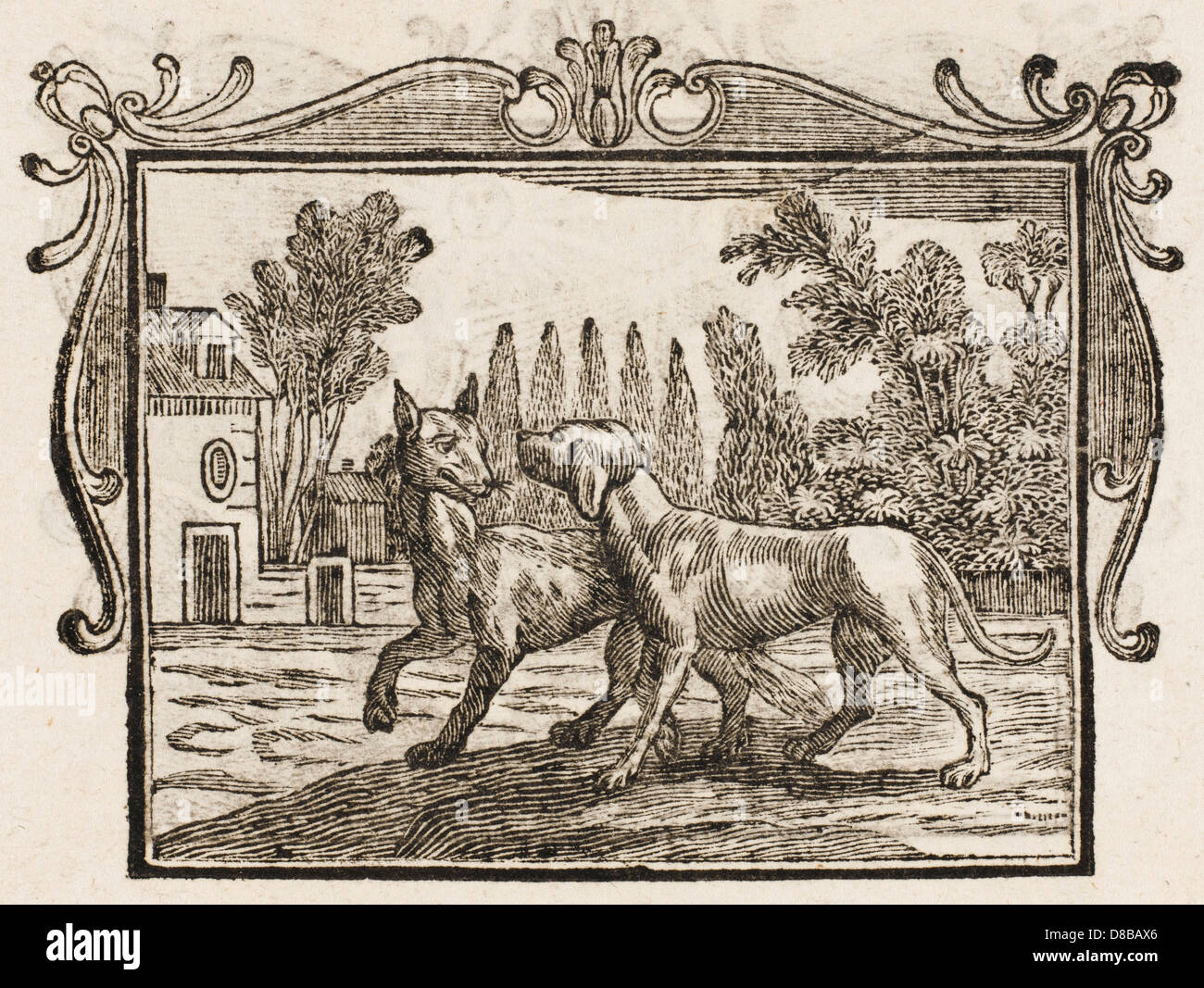 Aesop fable wolf hi-res stock photography and images - Alamy