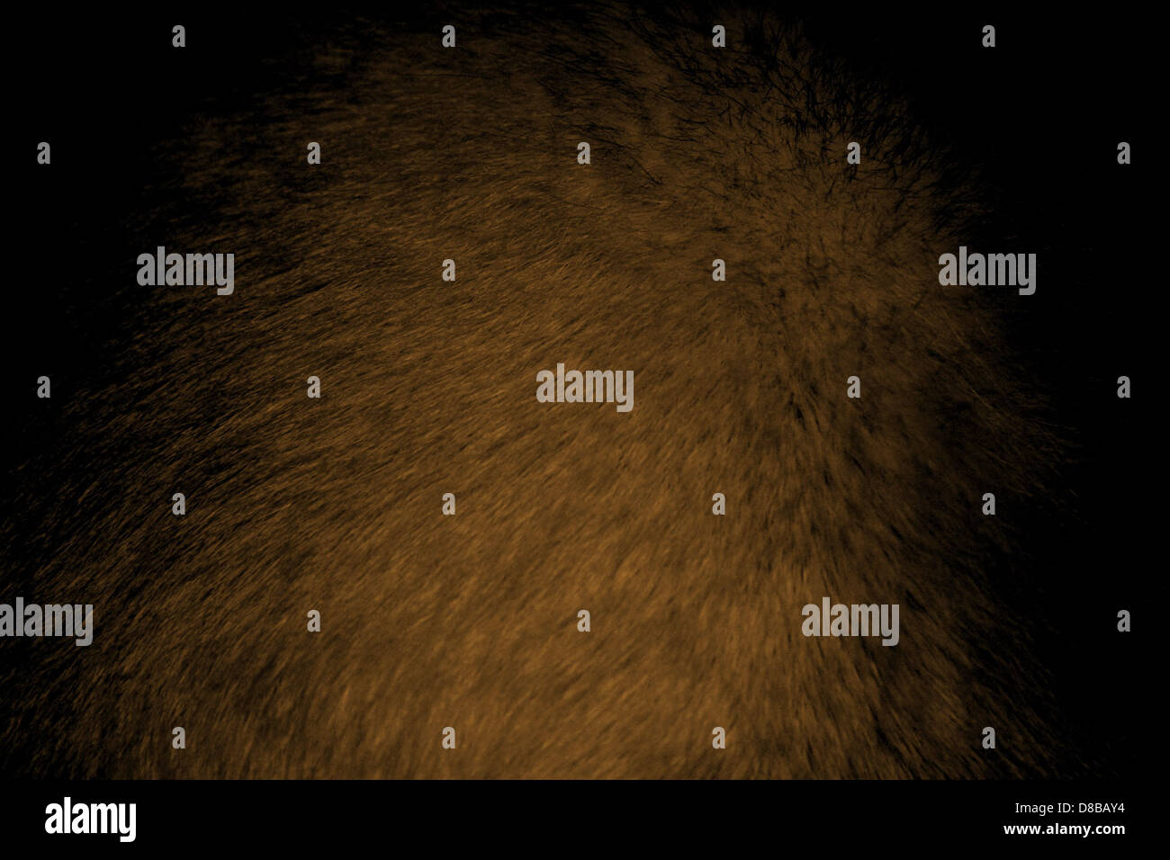 brown fur texture Stock Photo - Alamy