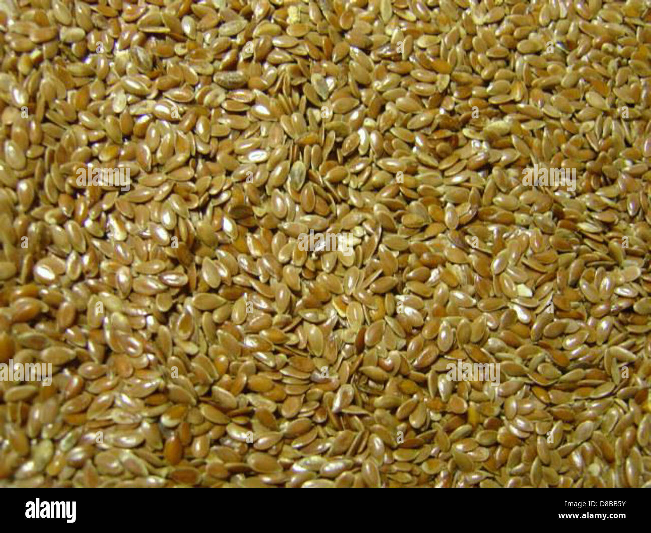A large pile of bulk flax seeds, often used for their nutritional ...