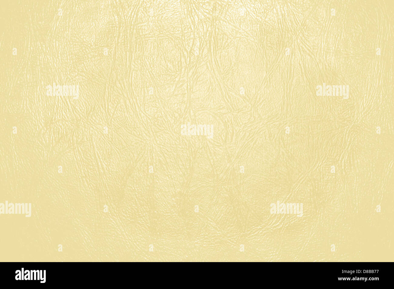 A close-up of butterscotch yellow leather, displaying its smooth ...