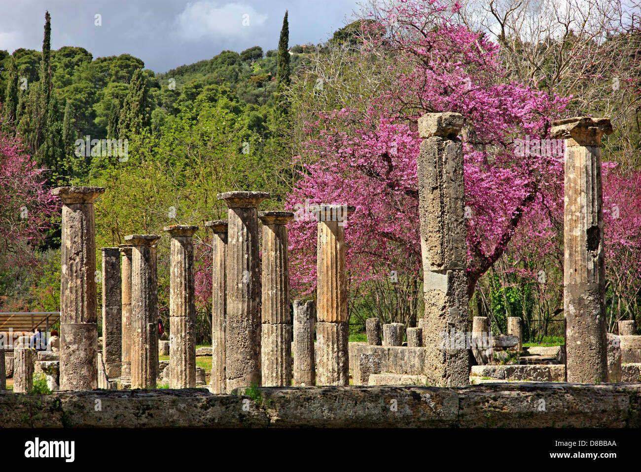 The Palaestra at Ancient Olympia, the birthplace of the Olympic Games ...