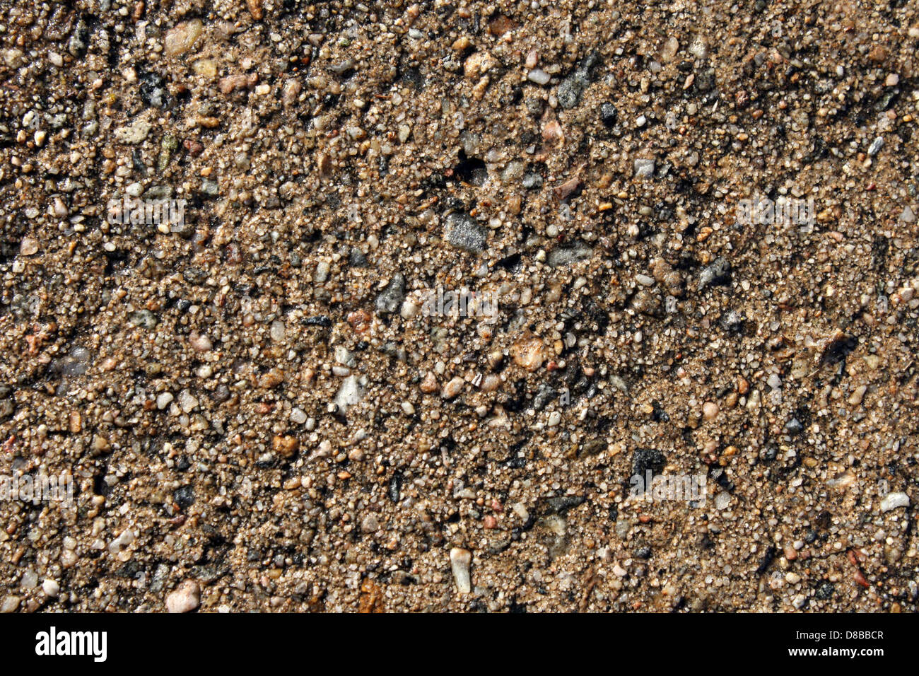 A close-up view of a cement sidewalk, highlighting the texture of the ...