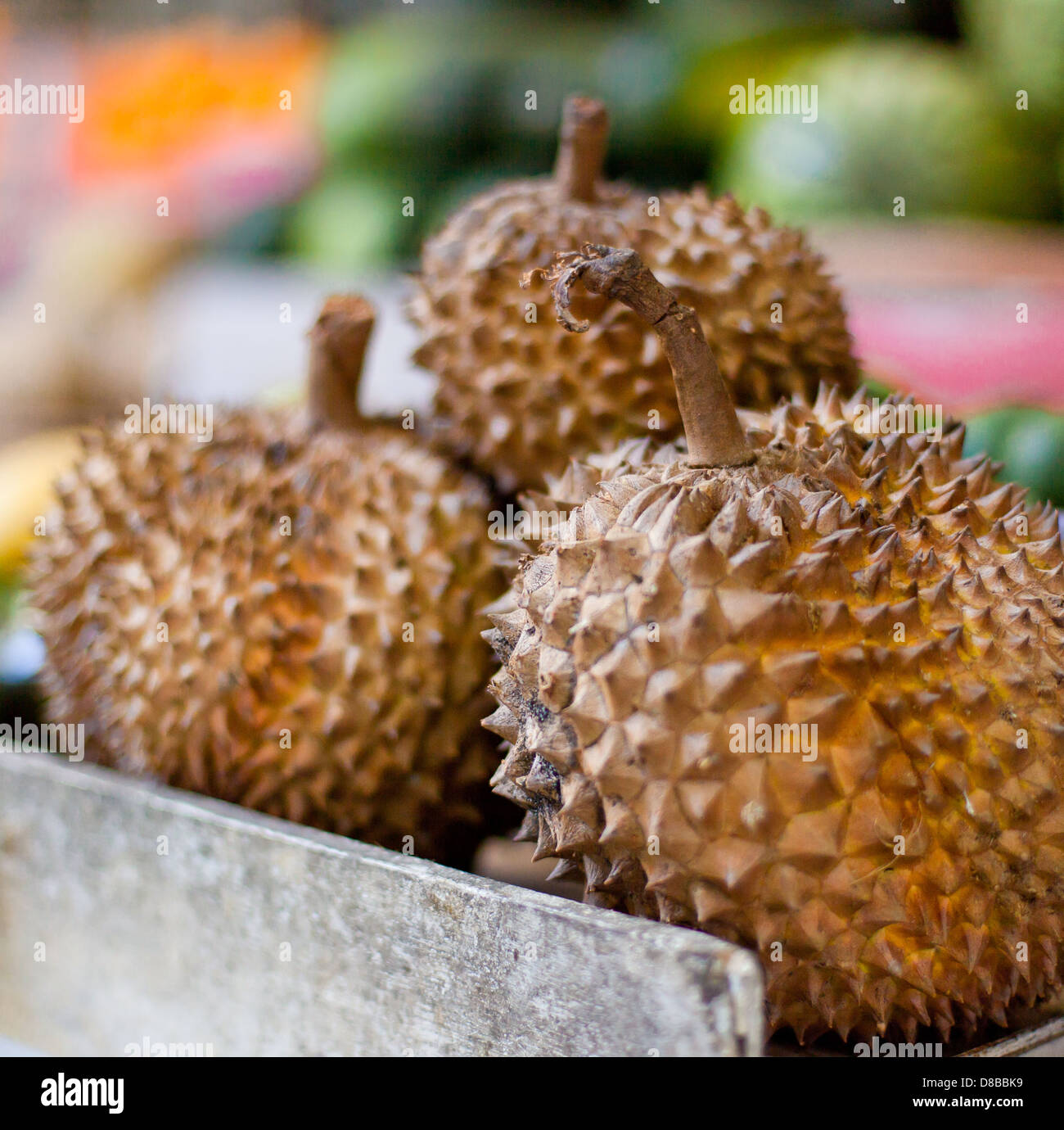 Durian on asian market Stock Photo - Alamy