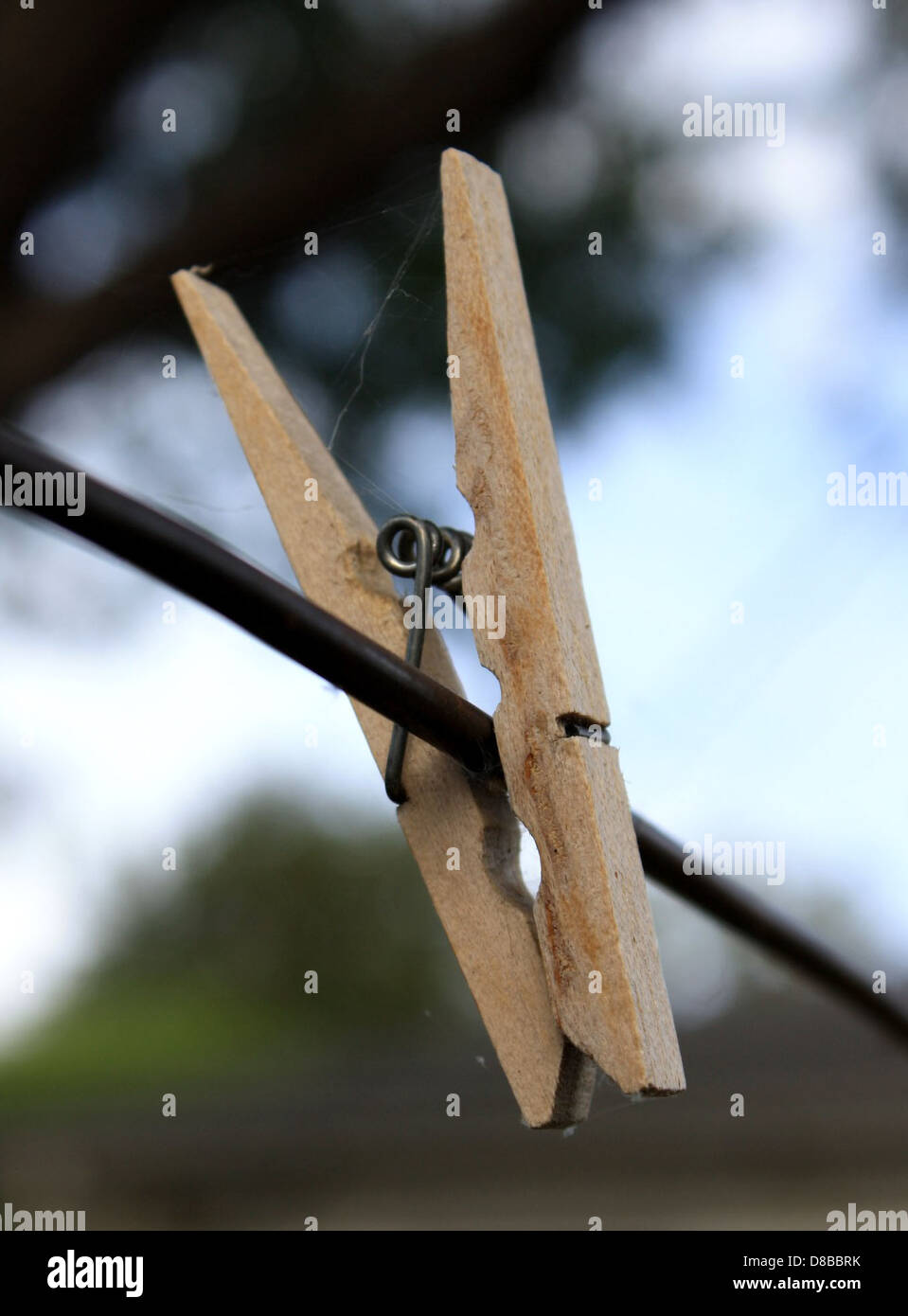 This close-up image shows a clothespin clipped to a clothesline ...